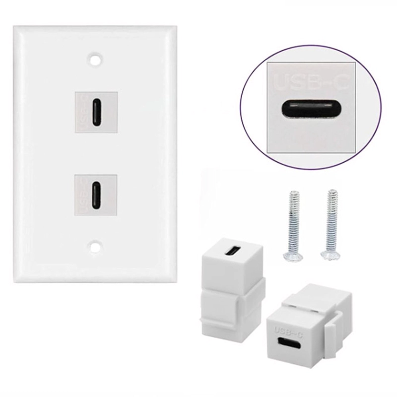 PLACA DE PARED ABS 2 PUERTOS USB C TIPO C FACEPLATE HEMBRA A HEMBRA ...
