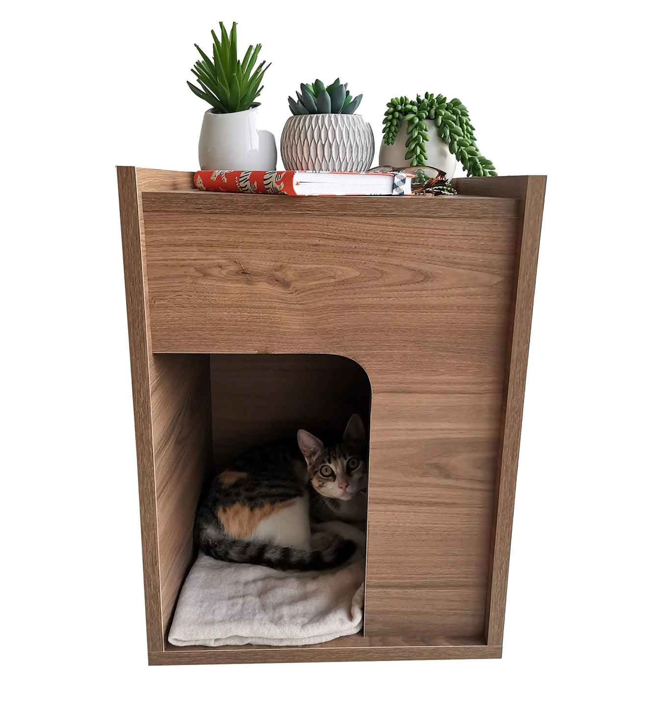 MIAUU PET SHOP