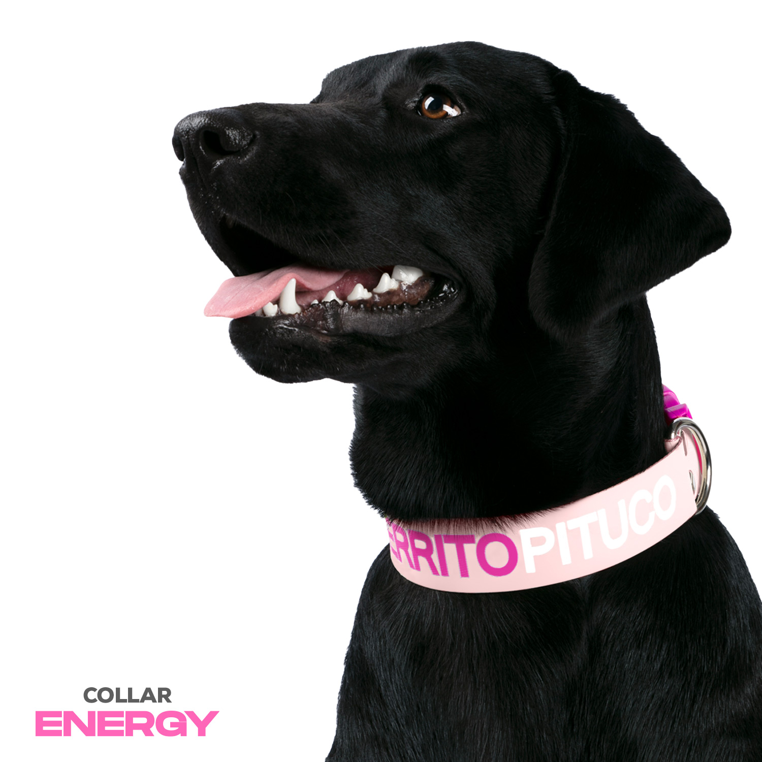 Ripley - COLLAR PERROS Y GATOS ENERGY PERRITO PITUCO ROSADO TALLA S
