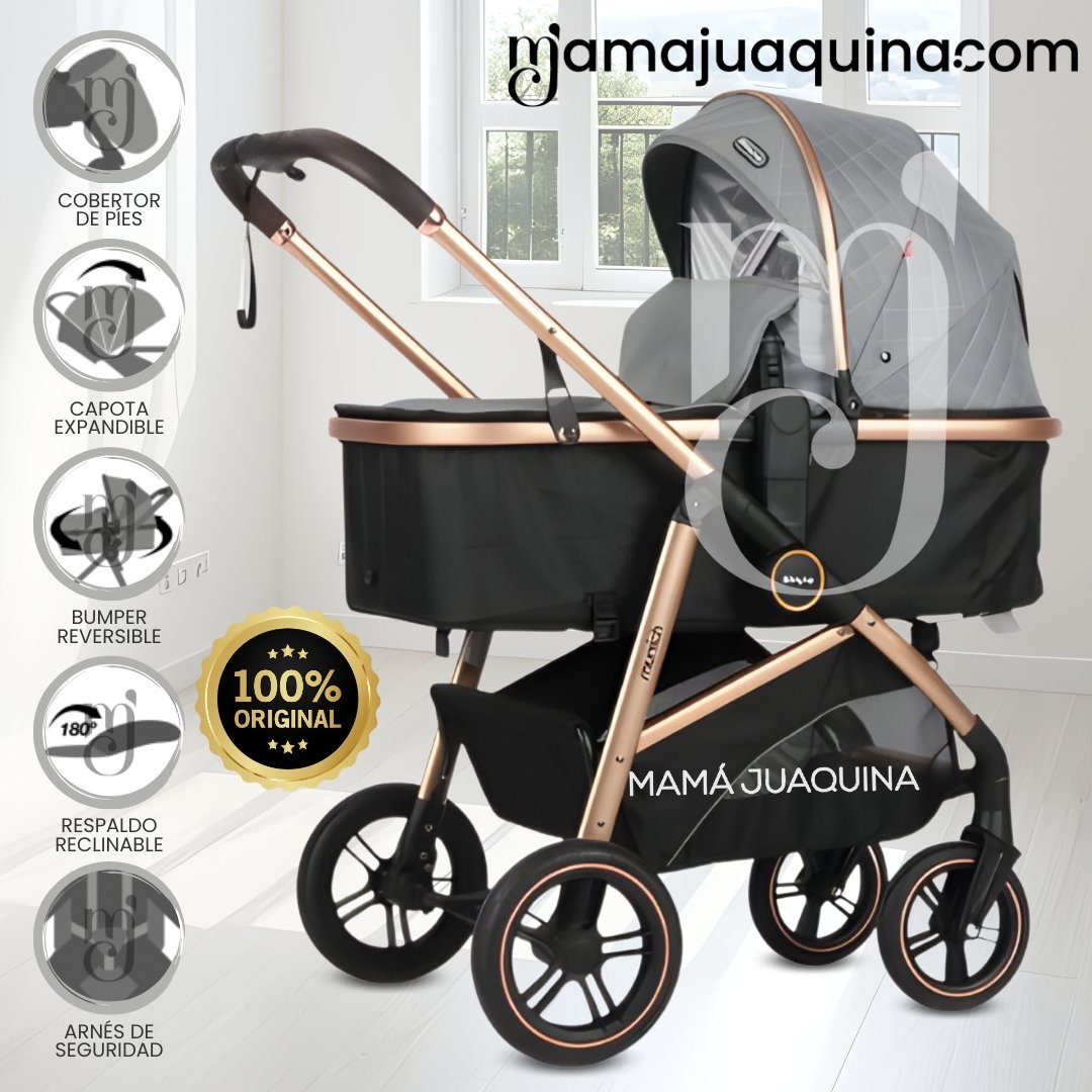 COCHE MOISÉS TRAVEL SYSTEM «MUNICH GOLD» DE LUJO GRAY