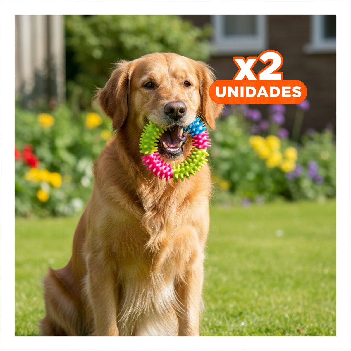 PACK2 ENTRENA Y JUEGA CON JEBE PUNTEADO DE COLORES VARIADOS PERROS Y ...