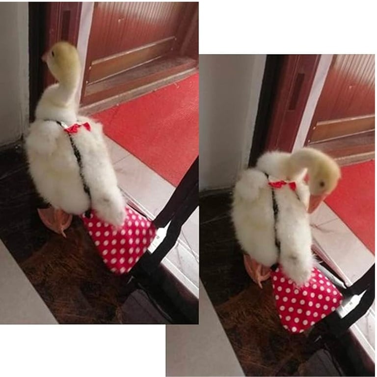 Ripley - PAÑAL DE TELA PATOS Y POLLO TALLA M