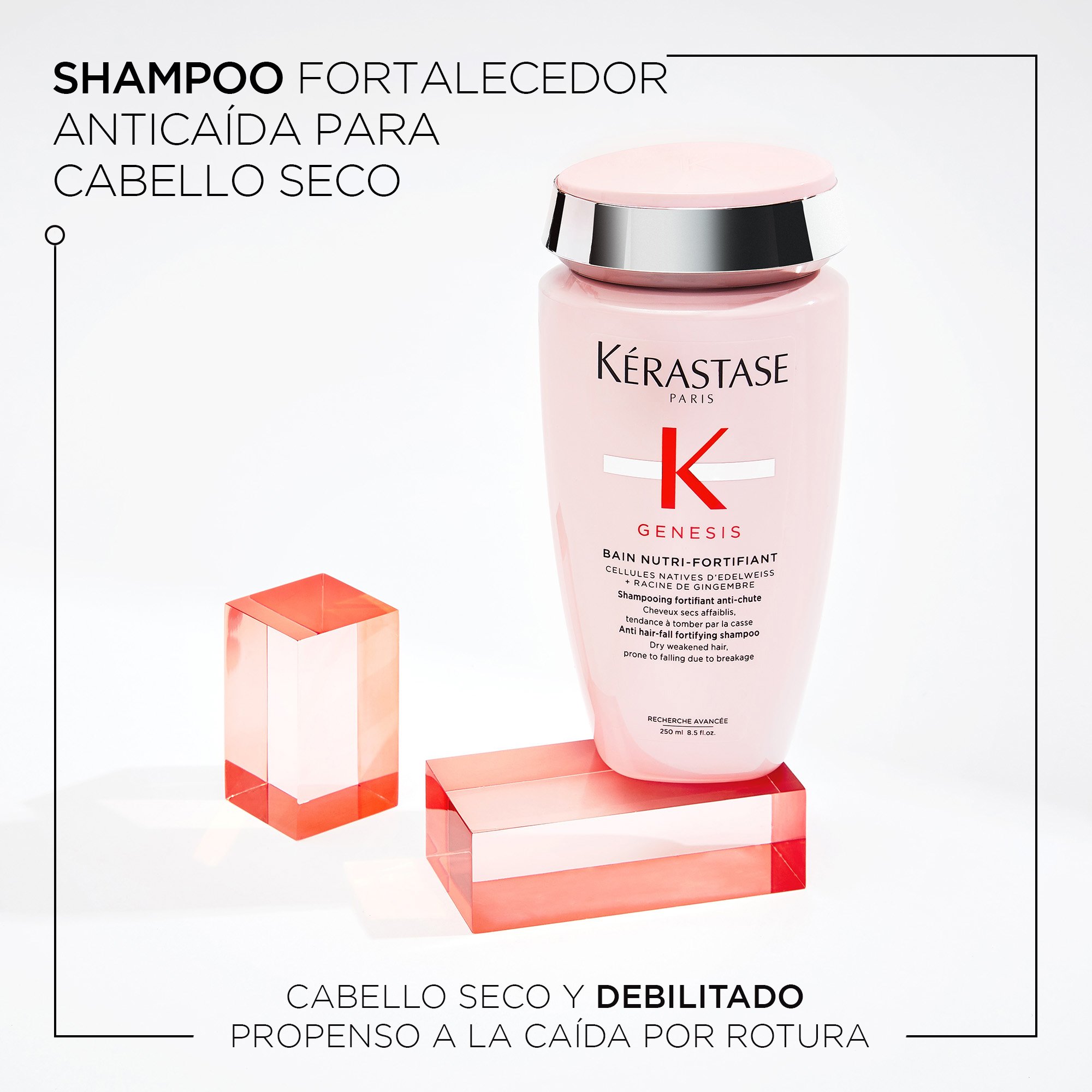 SHAMPOO PARA CABELLO NORMAL A SECO CON TENDENCIA A LA CAÍDA POR ...